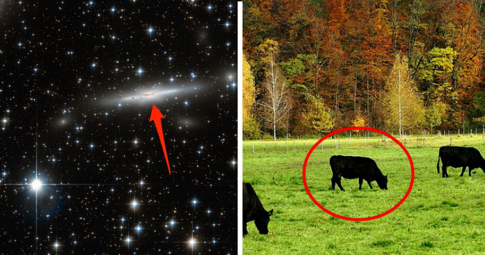 10 Mind-Blowing Discoveries That Science Has Not Been Able To Explain
