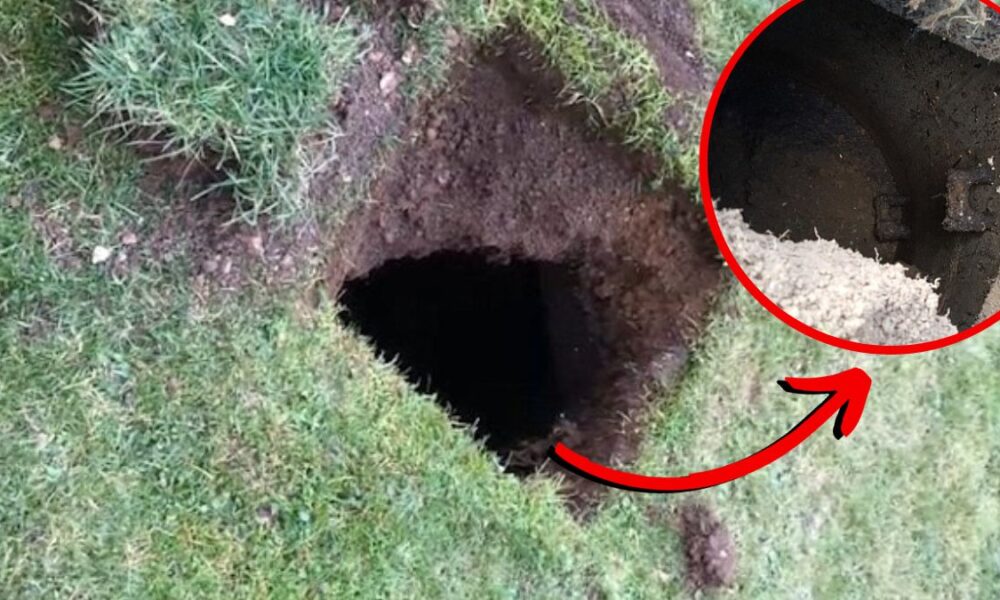 Family Shocked After 7ft-deep Hole Suddenly Opens Up On Their Lawn As ...