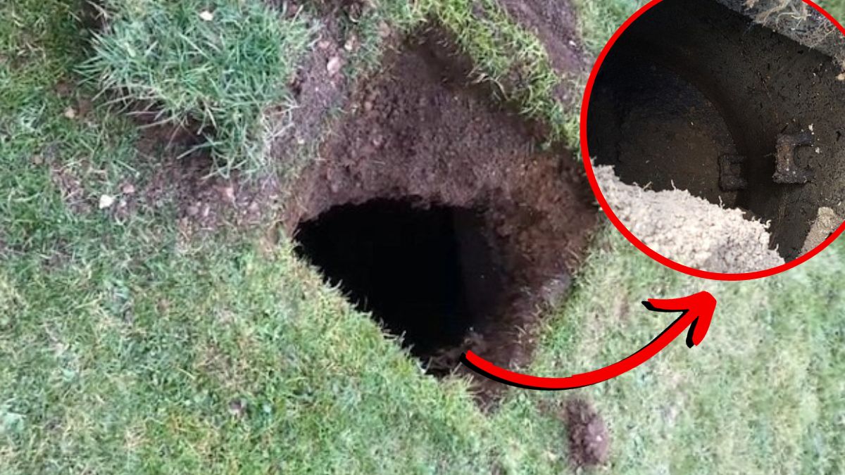 Family Shocked After 7ft-deep Hole Suddenly Opens Up On Their Lawn As ...