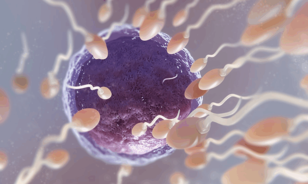 What La’s First-Ever ‘Sperm Race’ Revealed About Male Fertility
