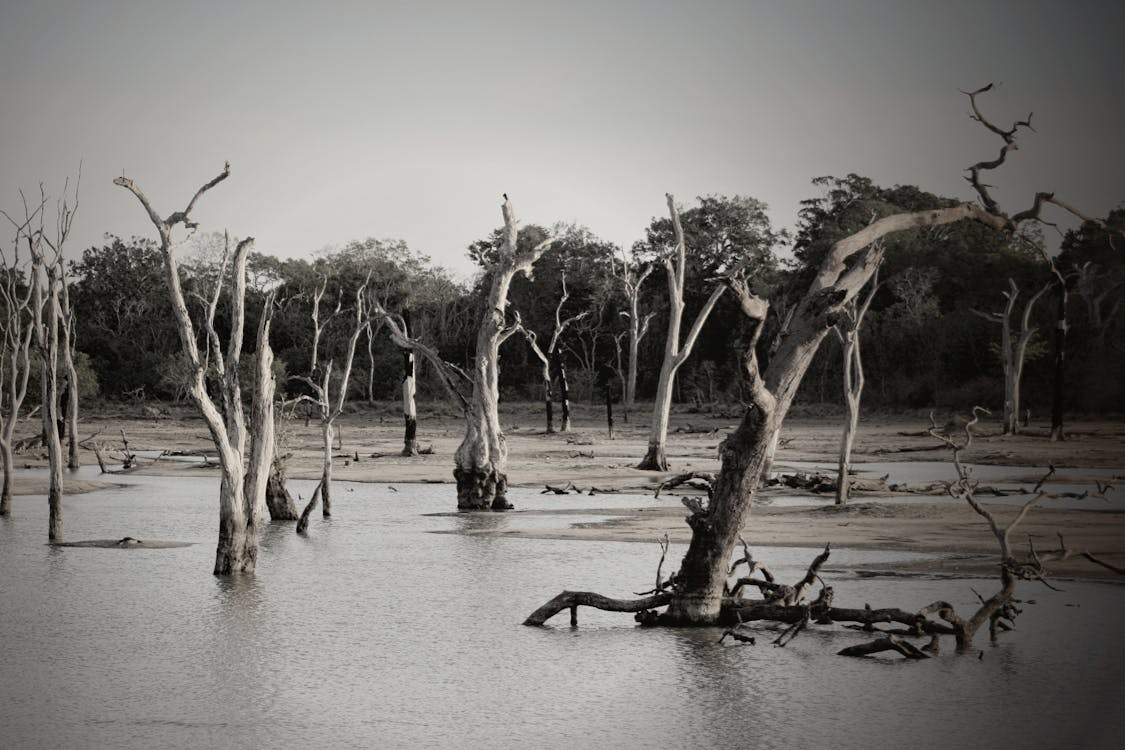 Girls Missing After Texas Flood Surges 26 Feet In 45 Minutes
