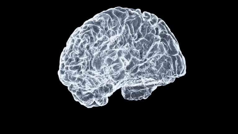 MIT Recently Completed The First Brain-Scan Study On ChatGPT