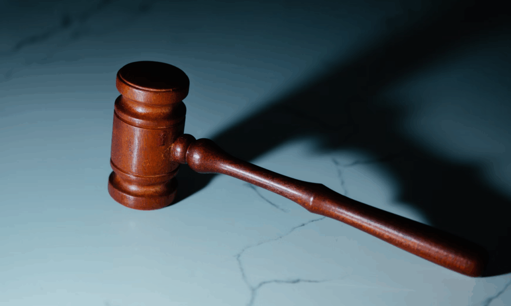 South Carolina Judge Diane Goodstein’s Home Catches Fire