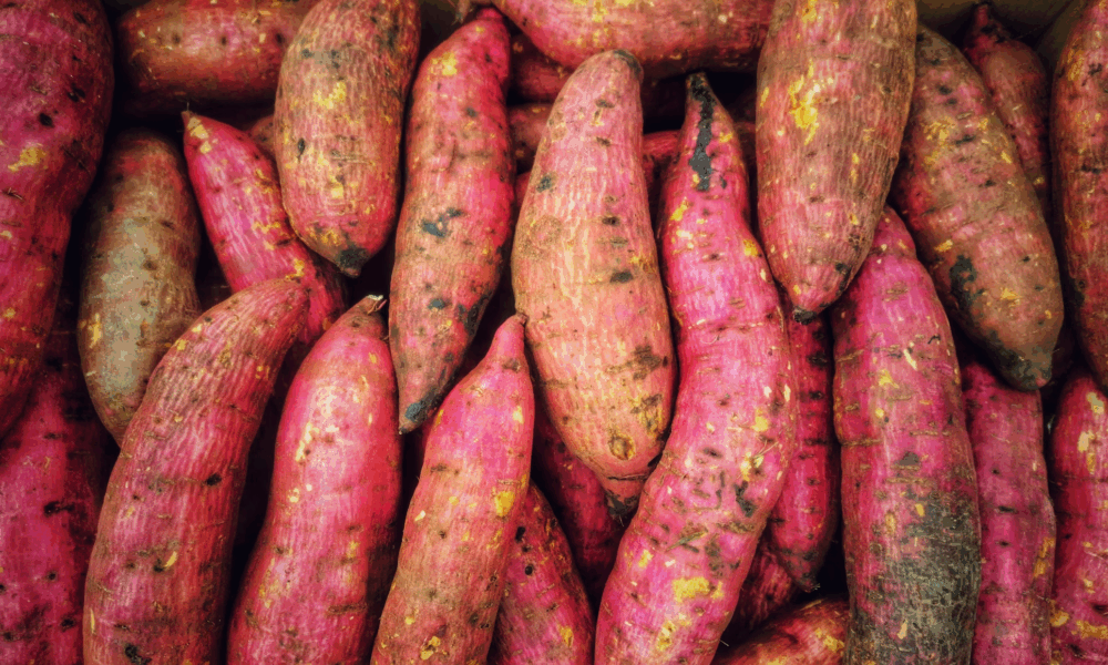 7 Shocking Health Benefits Of Eating Sweet Potatoes Every Day ...