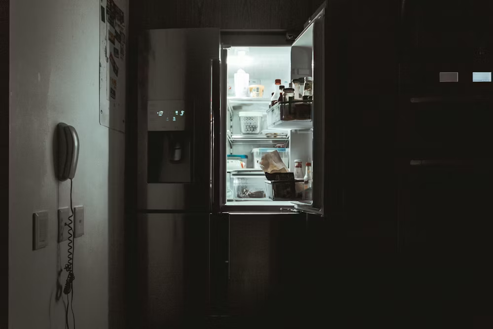 A Poor Girl Discovers A Millionaire Trapped Inside An Abandoned Fridge